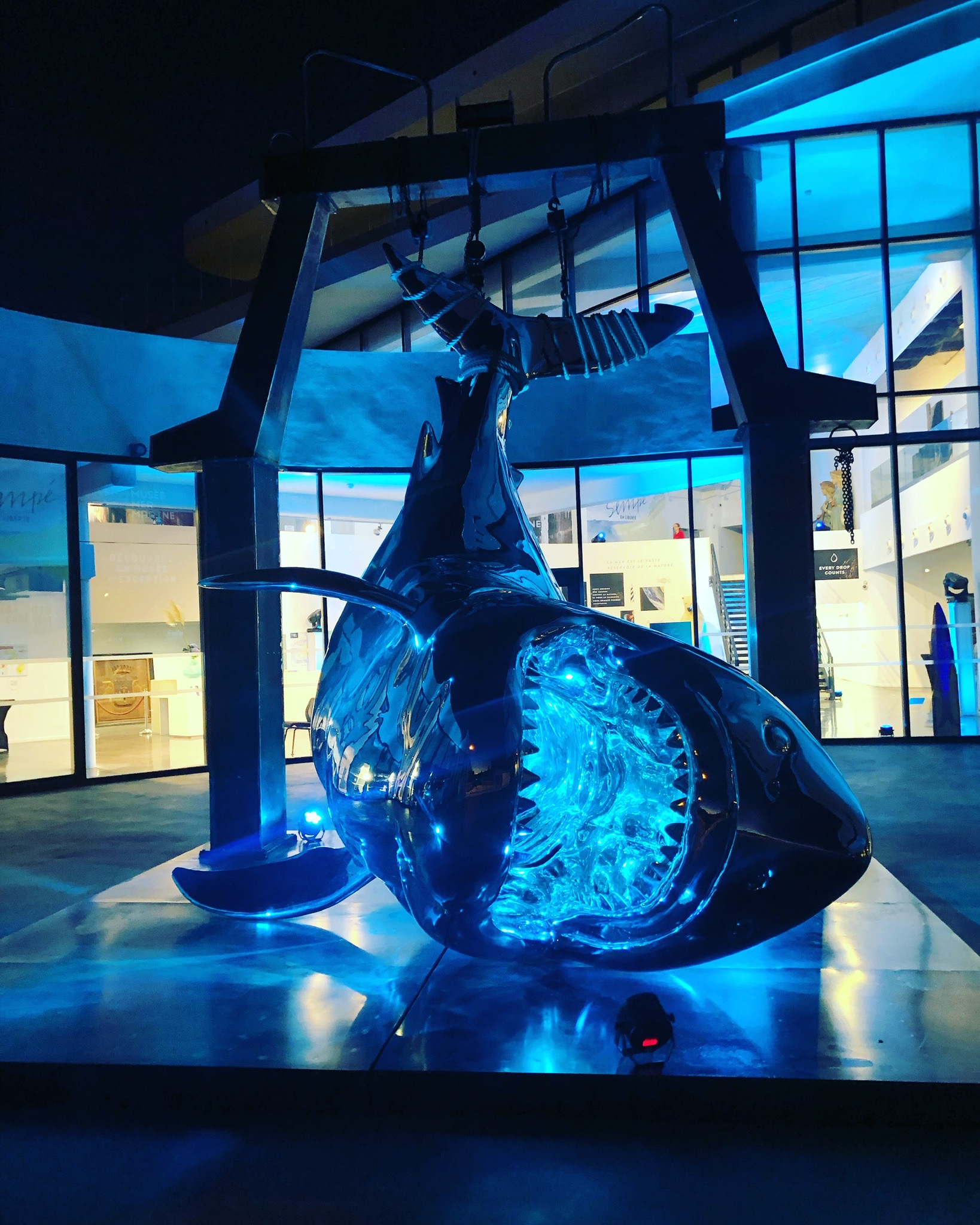 Actu Archives - Musée Mer Marine